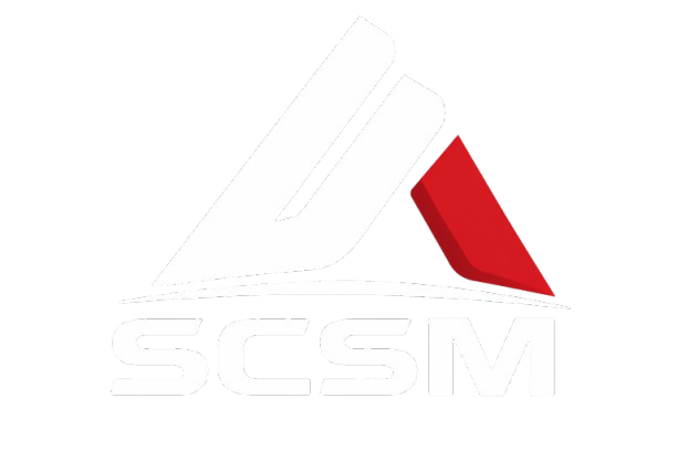 SCSM - Sampuran Computer Saksharta Mission | Best IT Training in Dehri ...